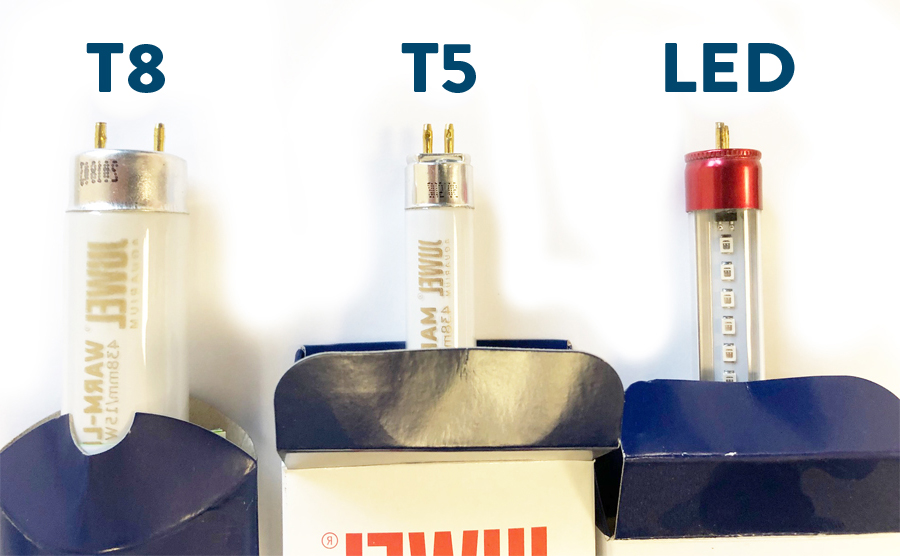 Fish tank lights: T8, T5, or LED? - Warehouse Aquatics