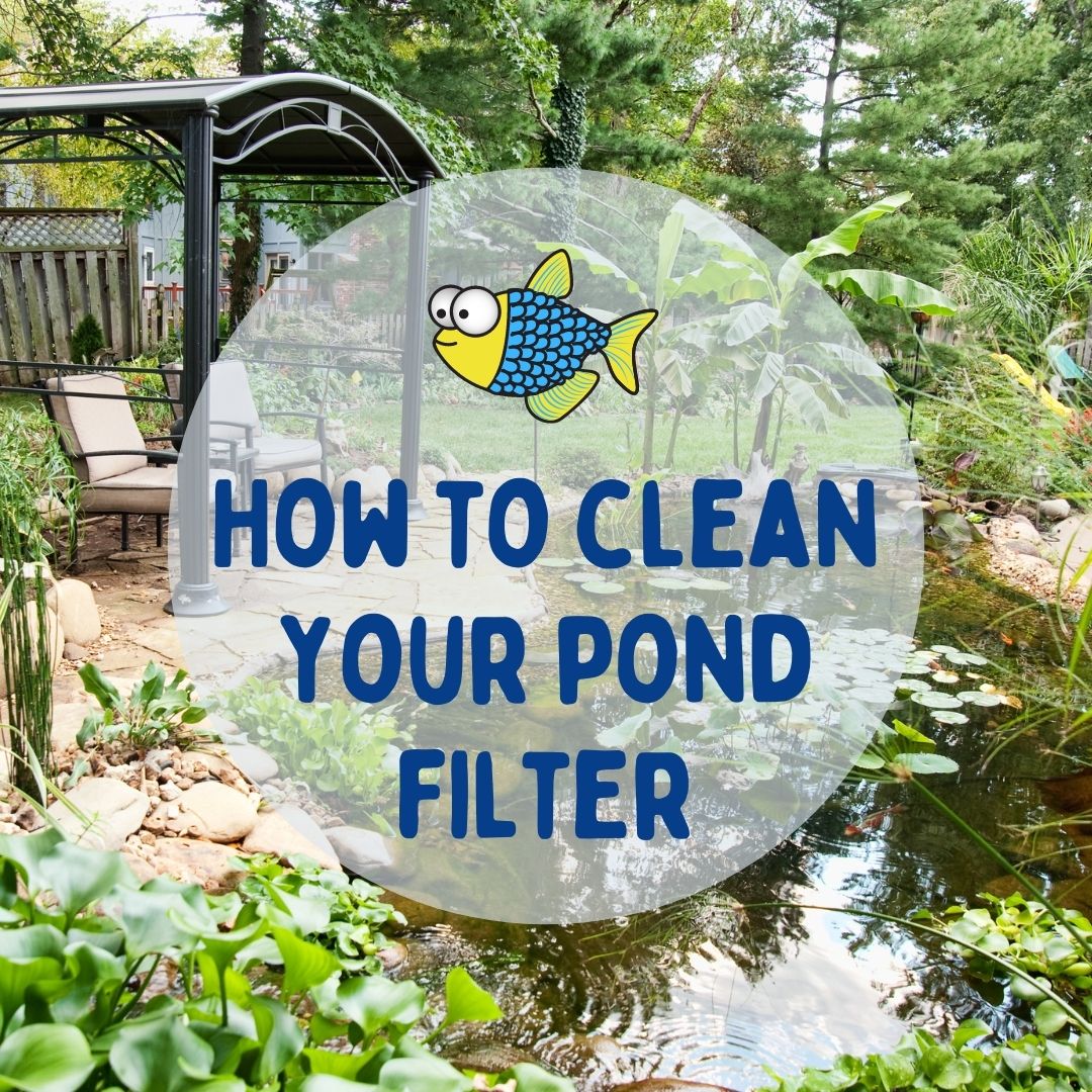 How to clean your pond filter | fish pond filter | Warehouse Aquatics
